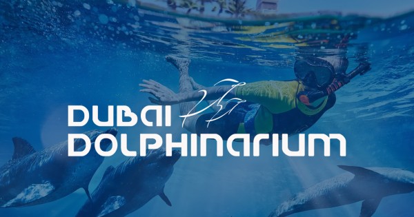 Swimming with Dolphin:Shallow Water 20 mins Best Price in Egypt|Games ...